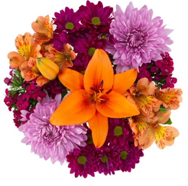 Hy-Vee Aisles Online Grocery Shopping